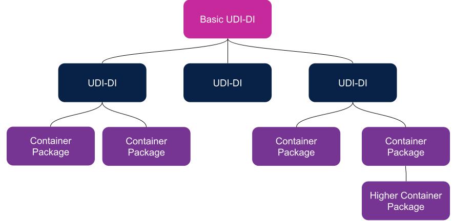 BUDI-DI - Basic UDI explained